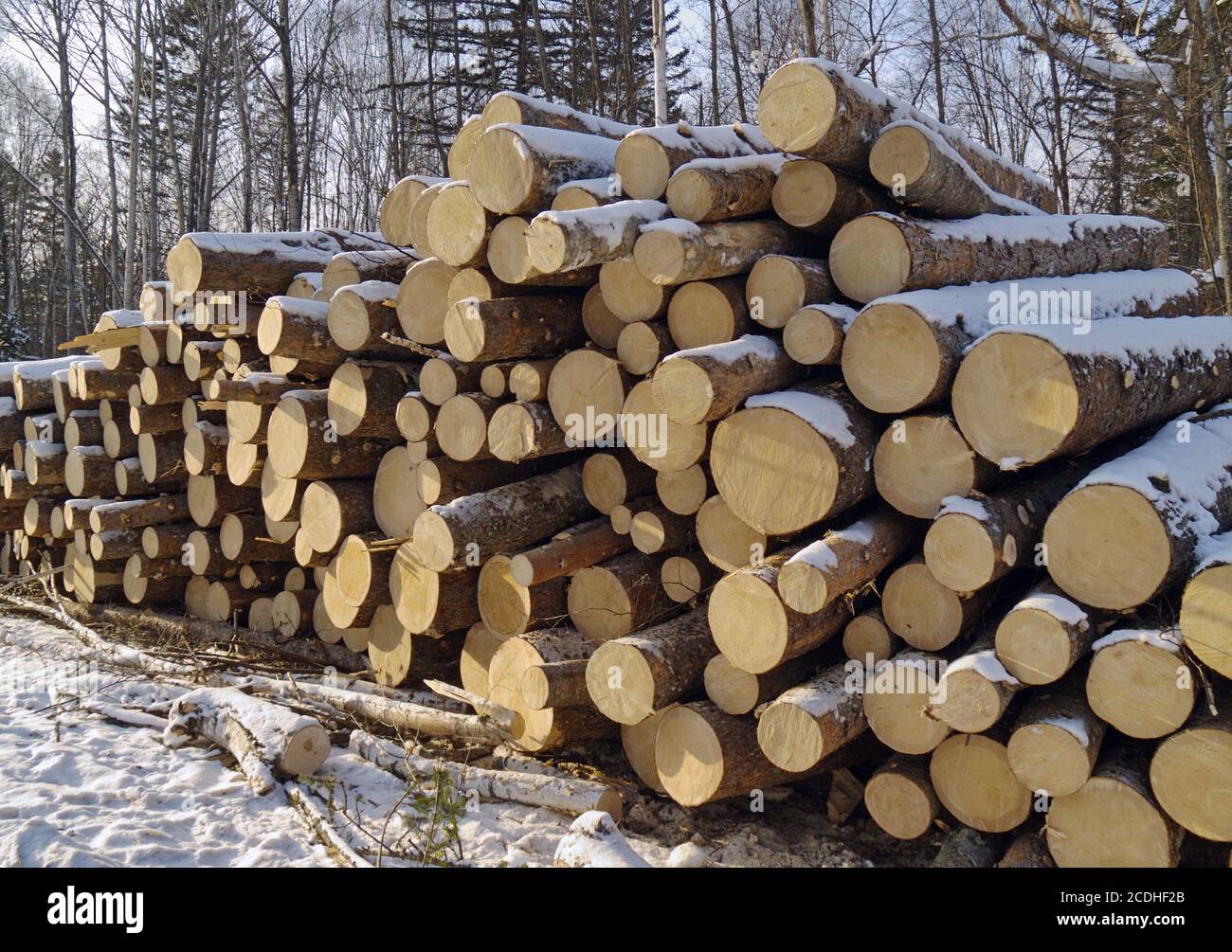 A taiga hi-res stock photography and images - Alamy