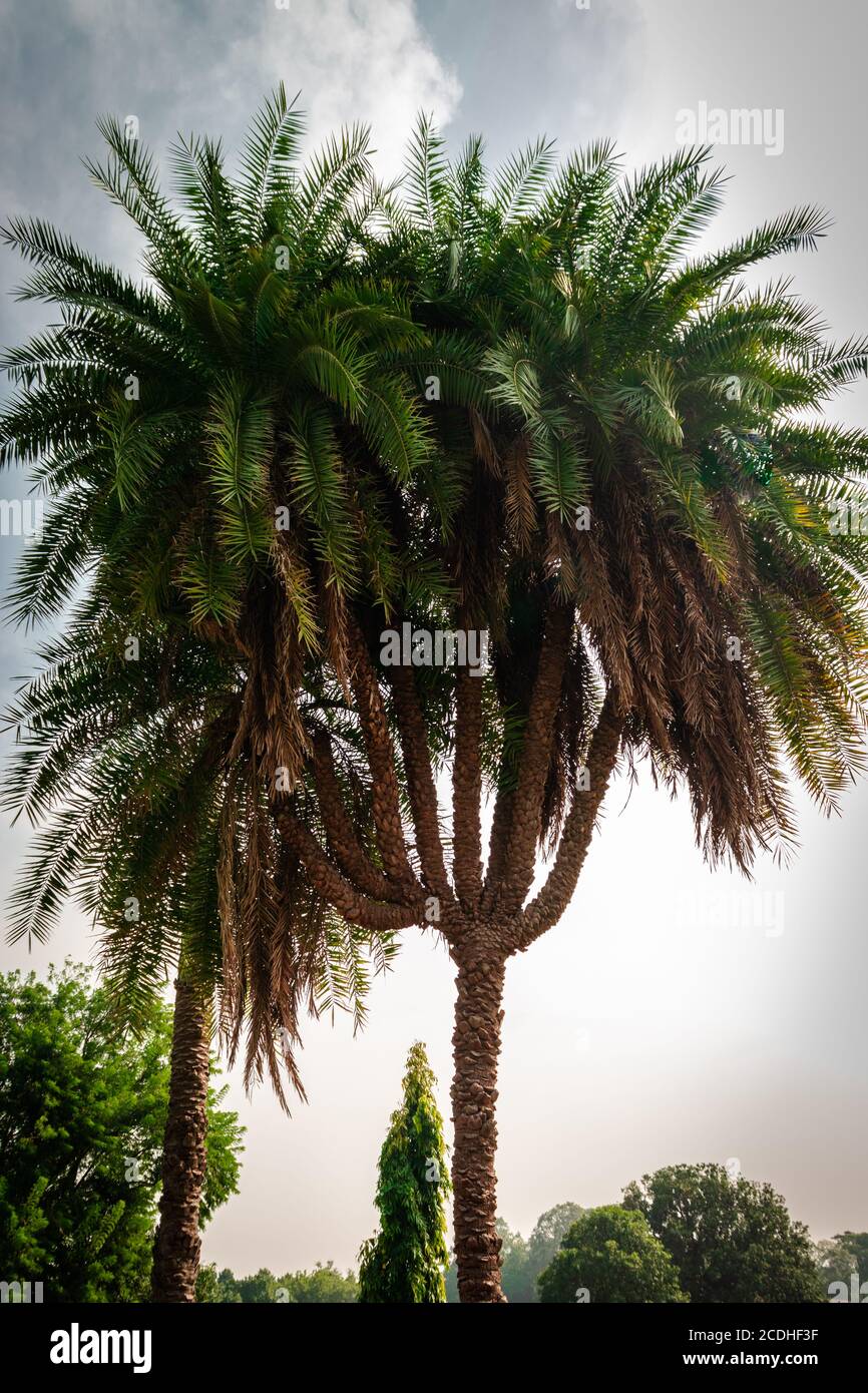 Multiple clusters hi-res stock photography and images - Alamy