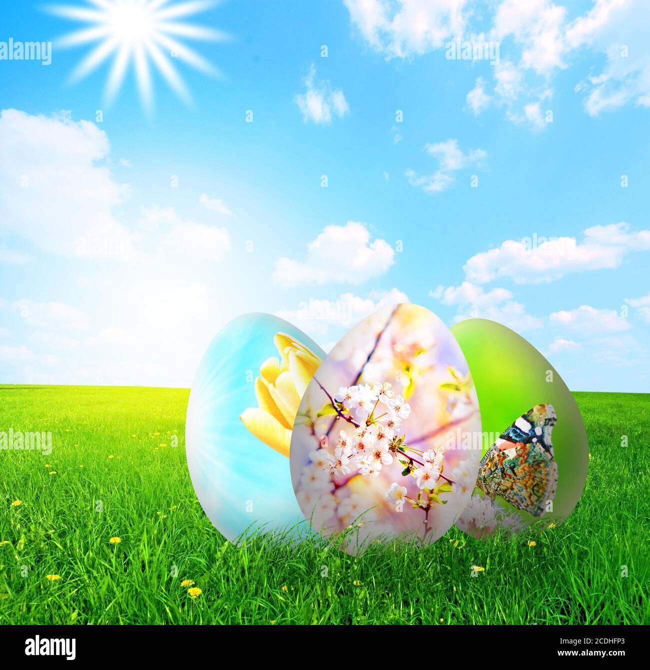 Sunny spring landscape Stock Photo - Alamy