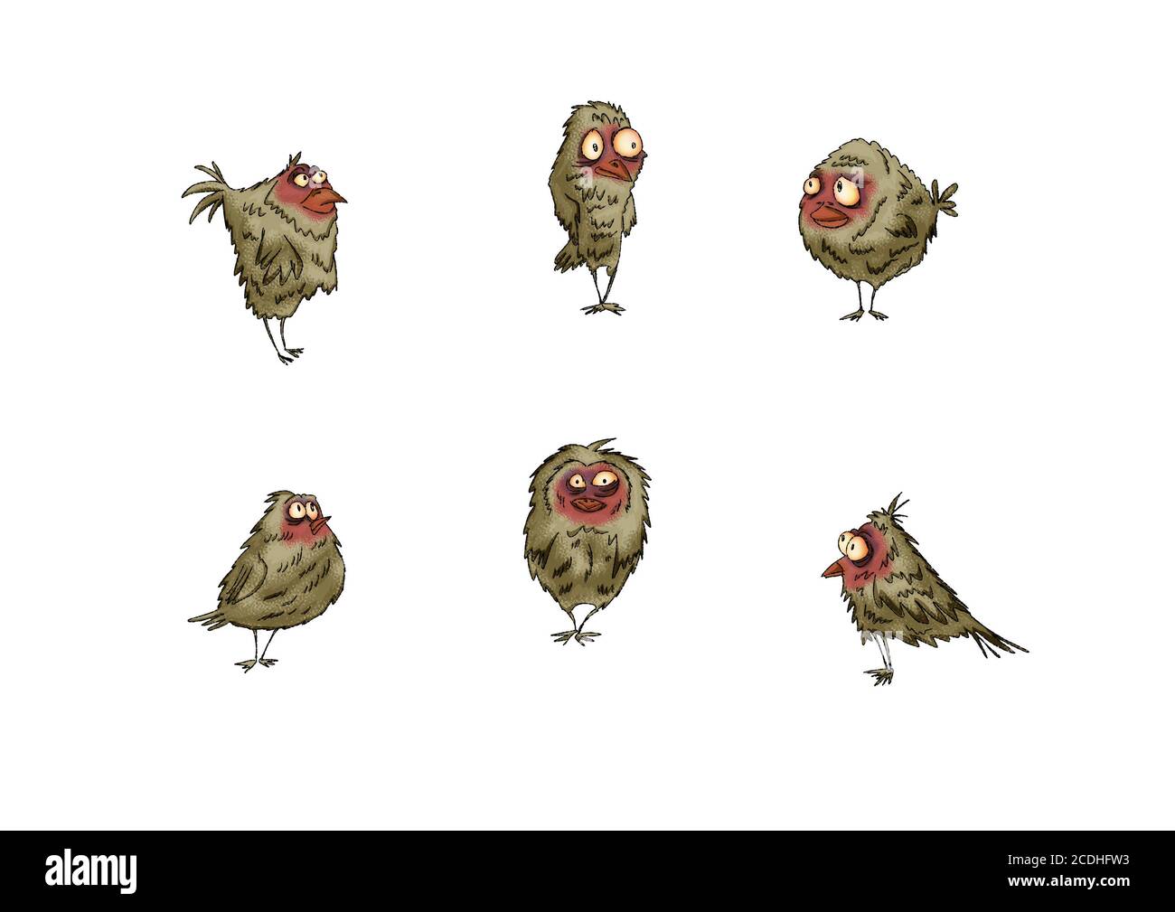 set of birds sparrows in different variations for design on a white ...