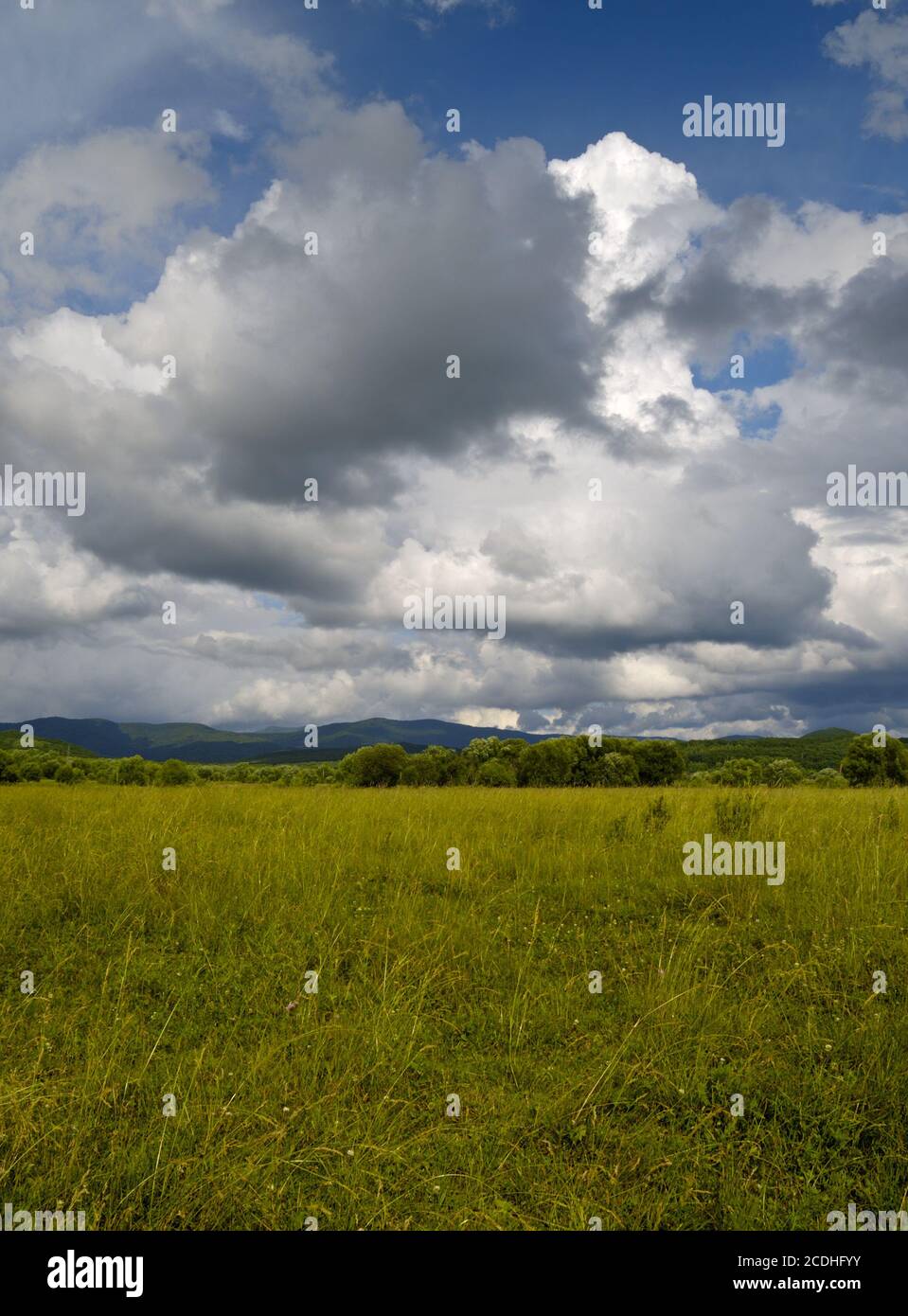 Summer landscape with a green meadow and the cloudy sky Stock Photo - Alamy