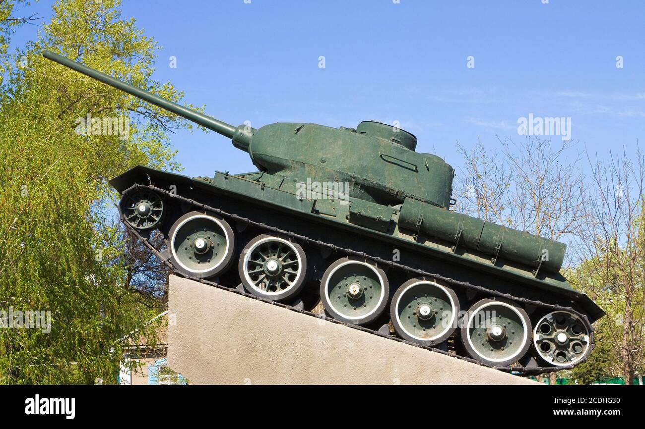 Solid old trees hi-res stock photography and images - Alamy