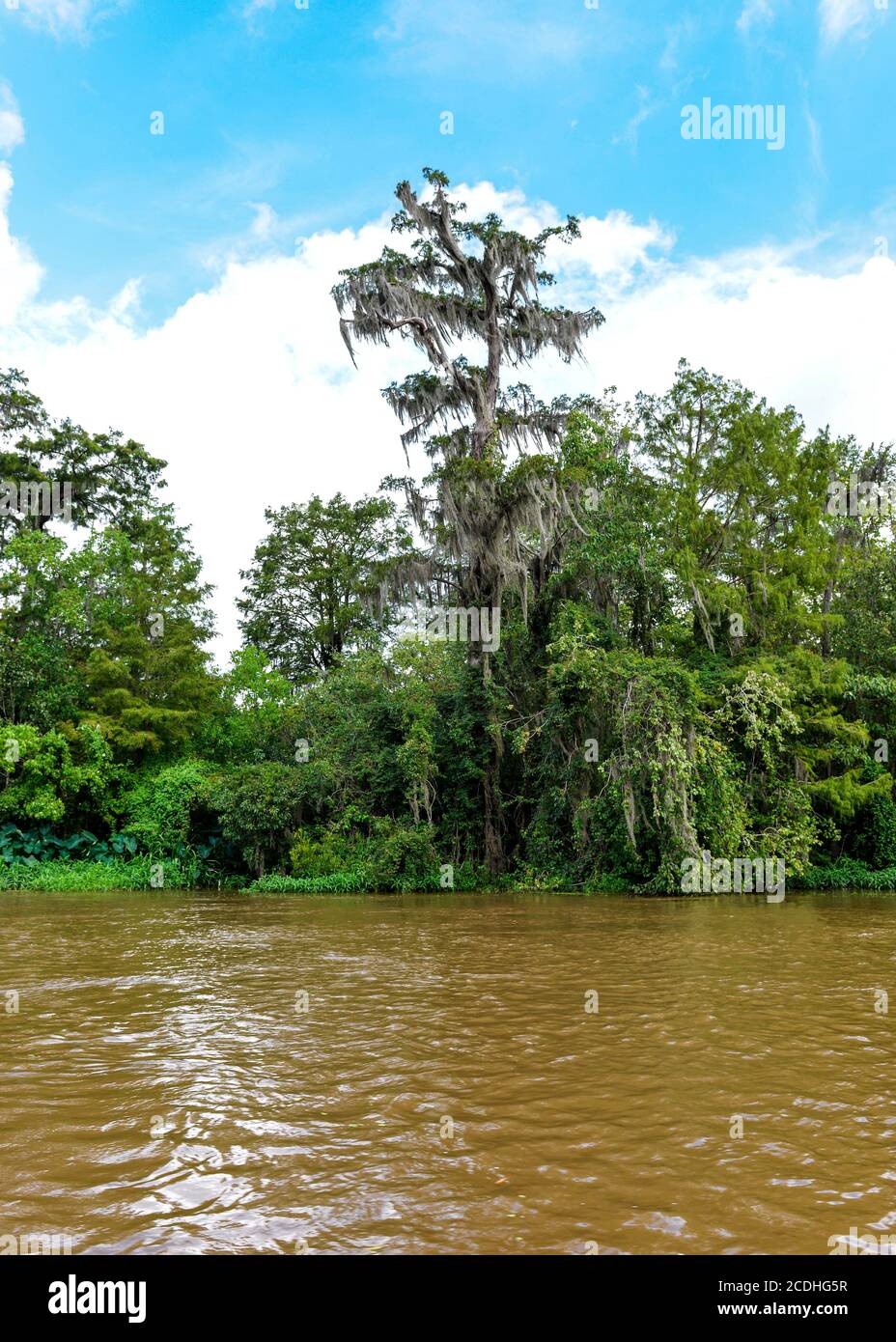 Bayou travel hi-res stock photography and images - Alamy