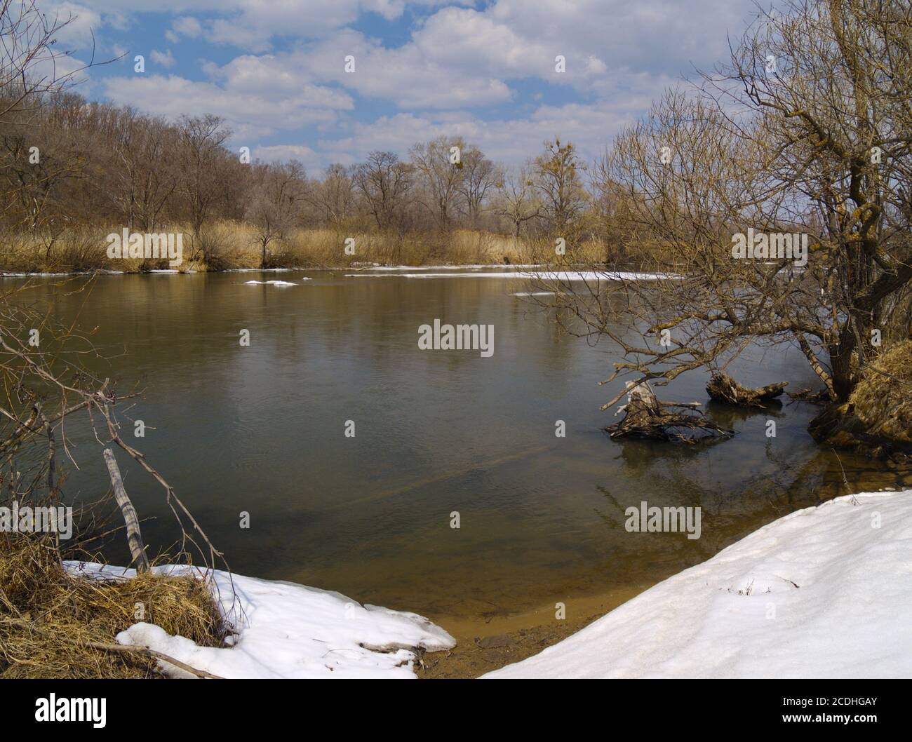 On the bank of spring river Stock Photo - Alamy