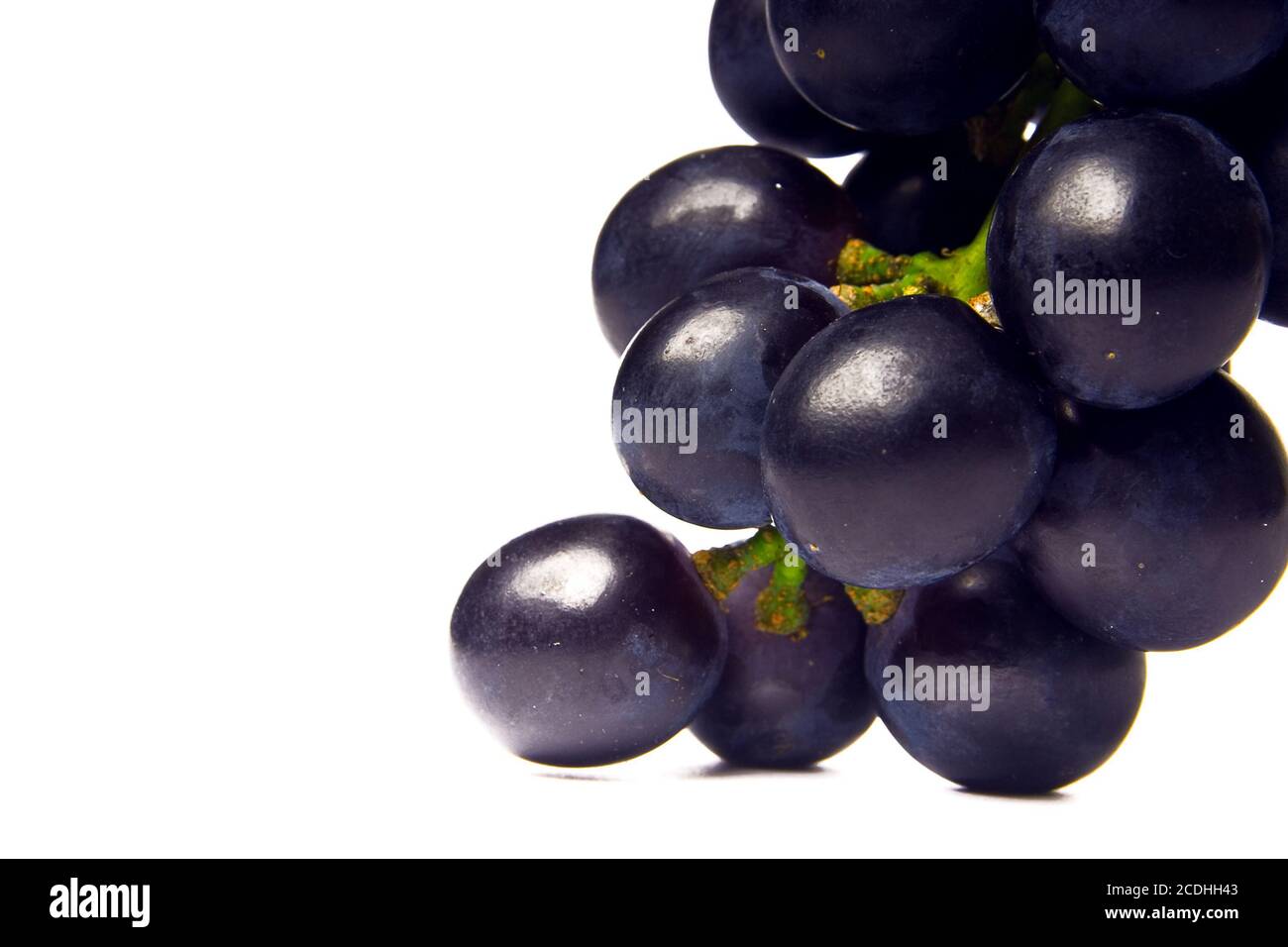 Dark vine hi-res stock photography and images - Alamy