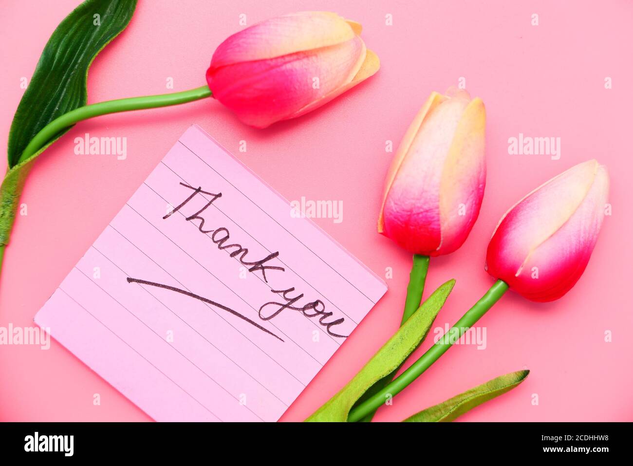 thank you message on sticky note with tulip flower on pink background ...