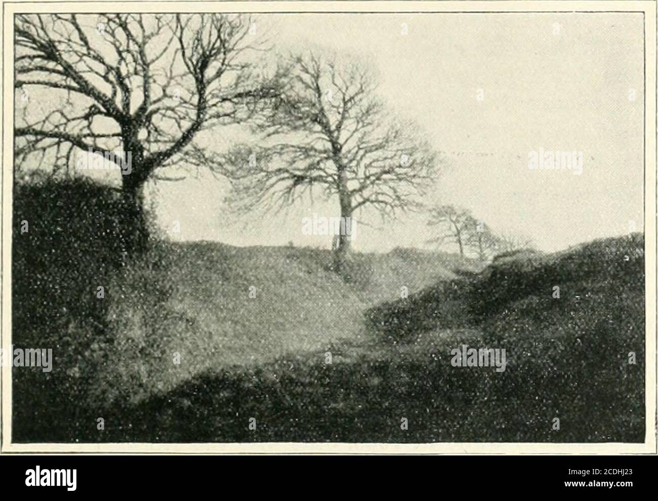 . Social England; a record of the progress of the people in religion ...