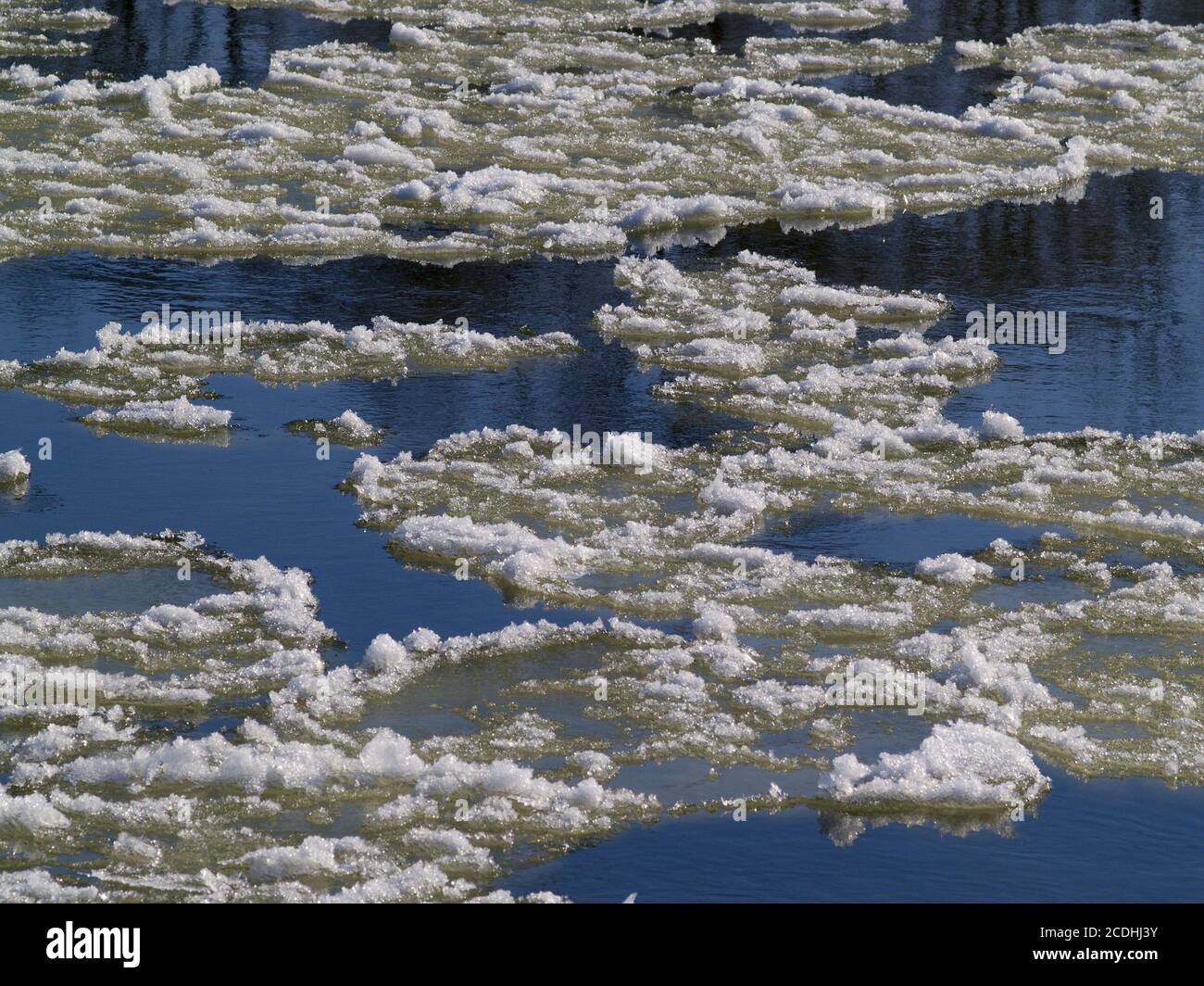 Ice floating on small river Stock Photo - Alamy