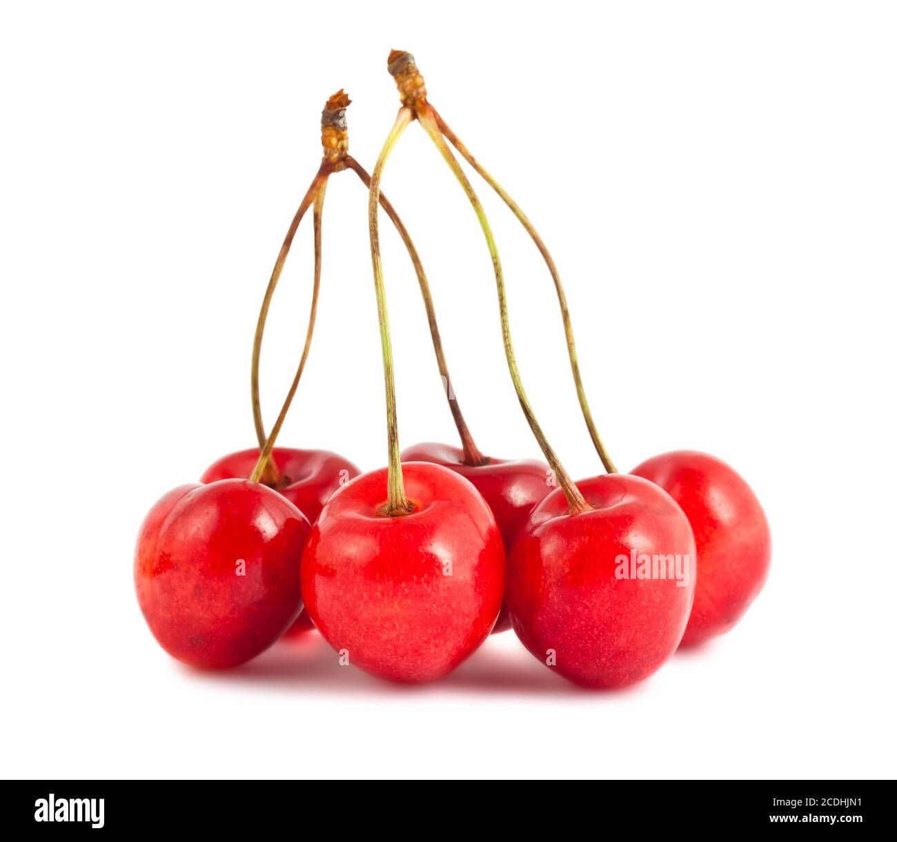 Nature sweet cherry hi-res stock photography and images - Alamy
