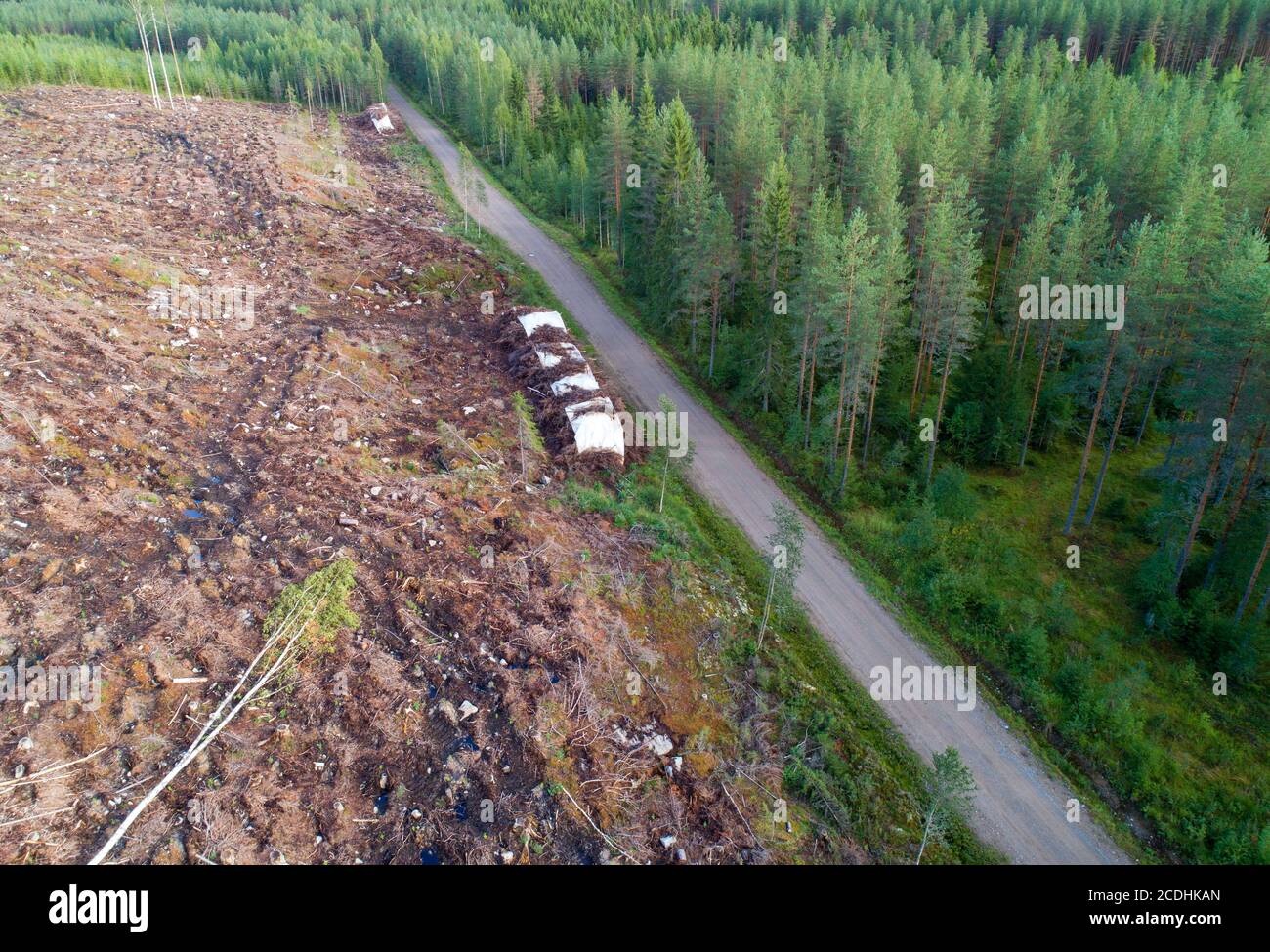 Boreal forest clear cut logging hi-res stock photography and images - Alamy