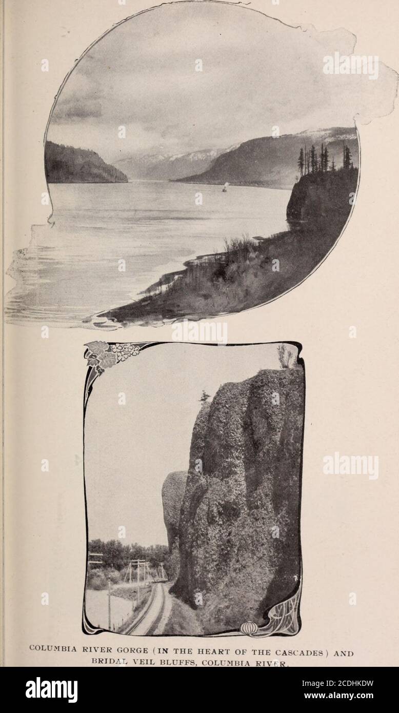 . Critique Stock Photo - Alamy