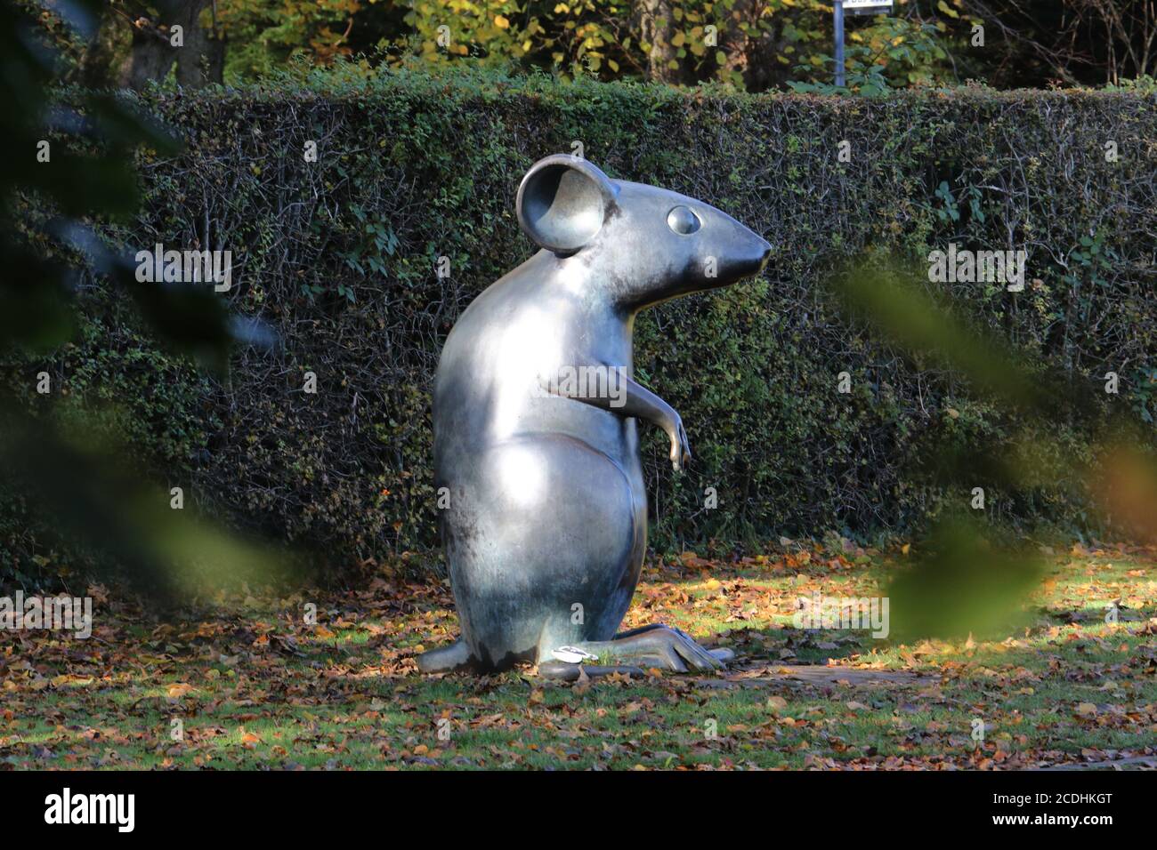 Scottish beastie hi-res stock photography and images - Alamy