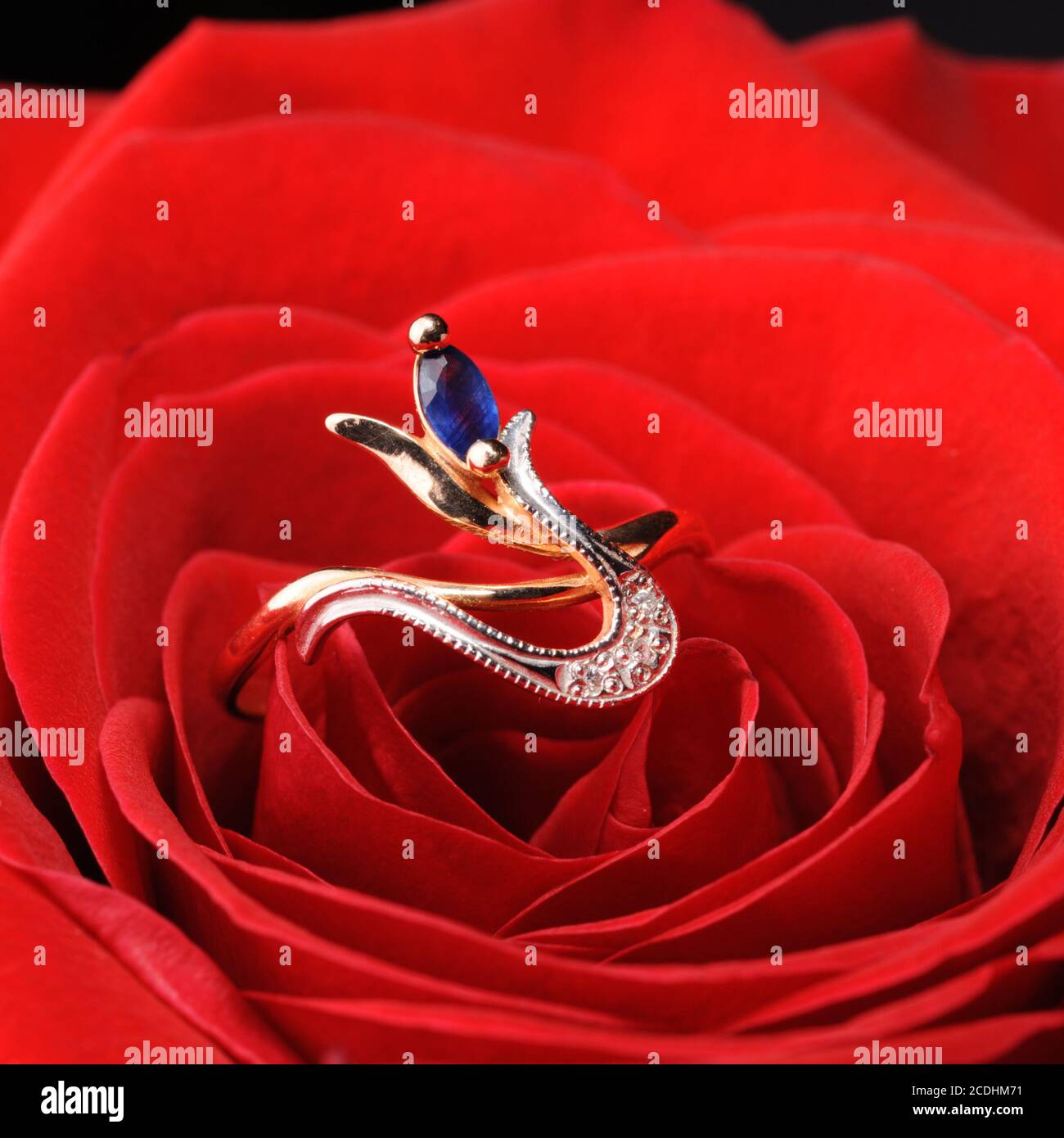 Ring in a red rose Stock Photo - Alamy