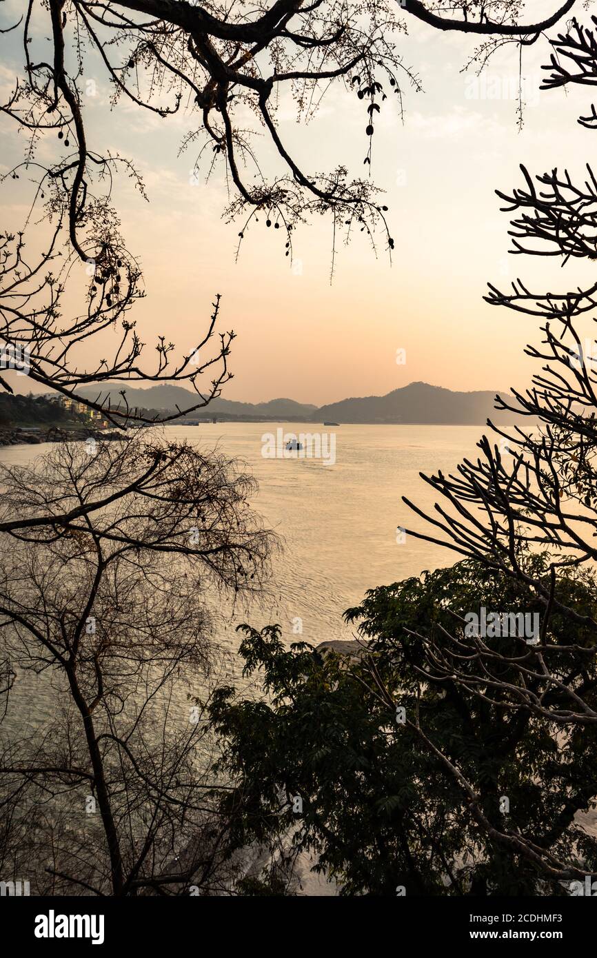 sunset orange sky with tree shadow at dusk image is taken at peacock ...