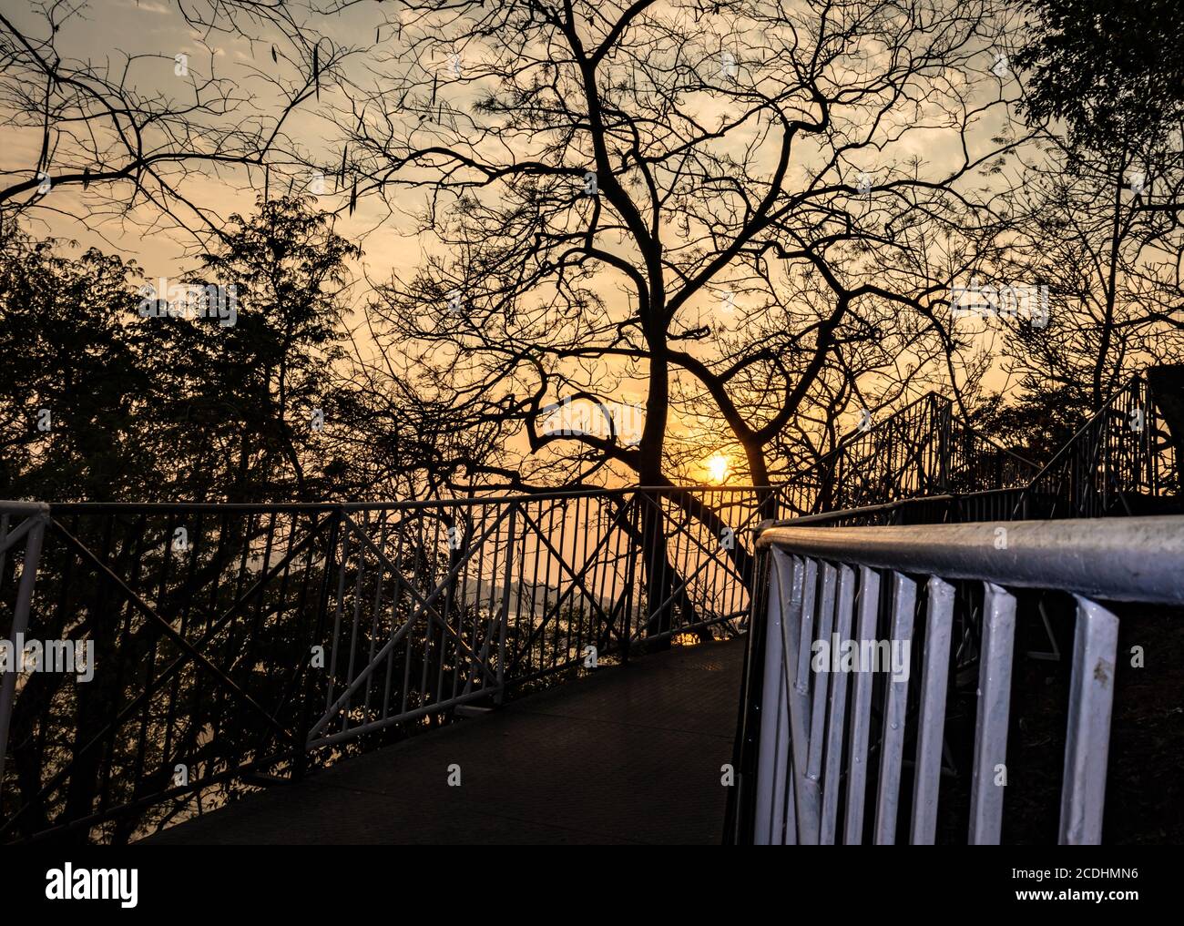 sunset orange sky with tree shadow at dusk image is taken at peacock ...
