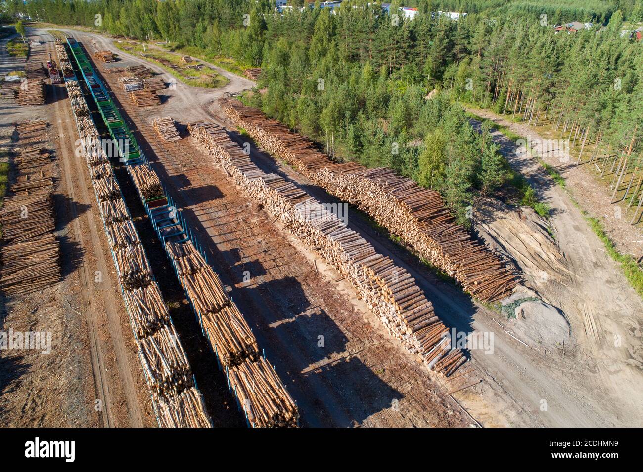 Aerial view of a railroad yard with log piles and train wagons loaded ...