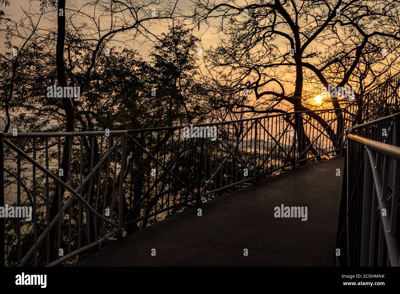 sunset orange sky with tree shadow at dusk image is taken at peacock ...
