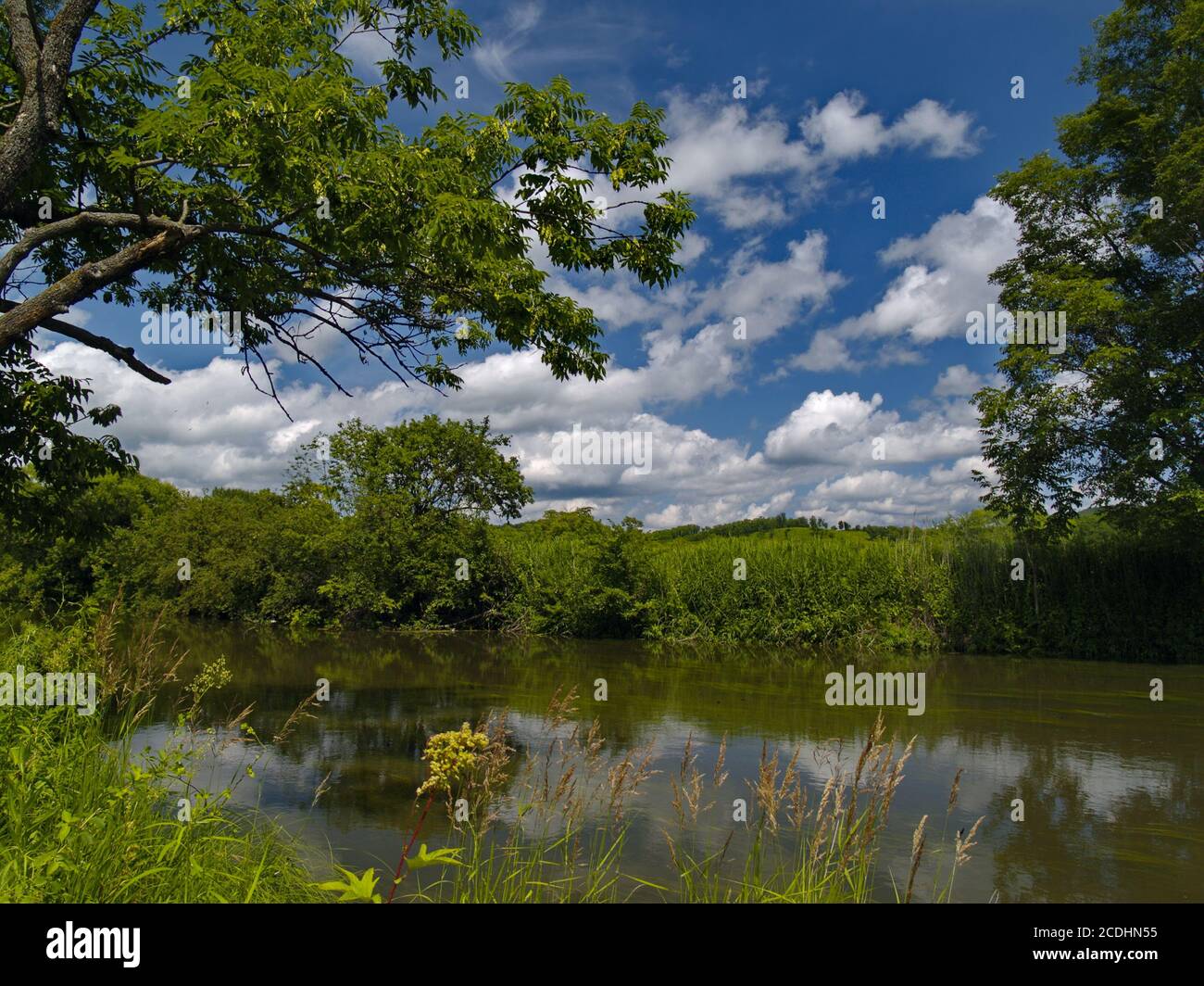 The Year landscape ashore pond Stock Photo - Alamy