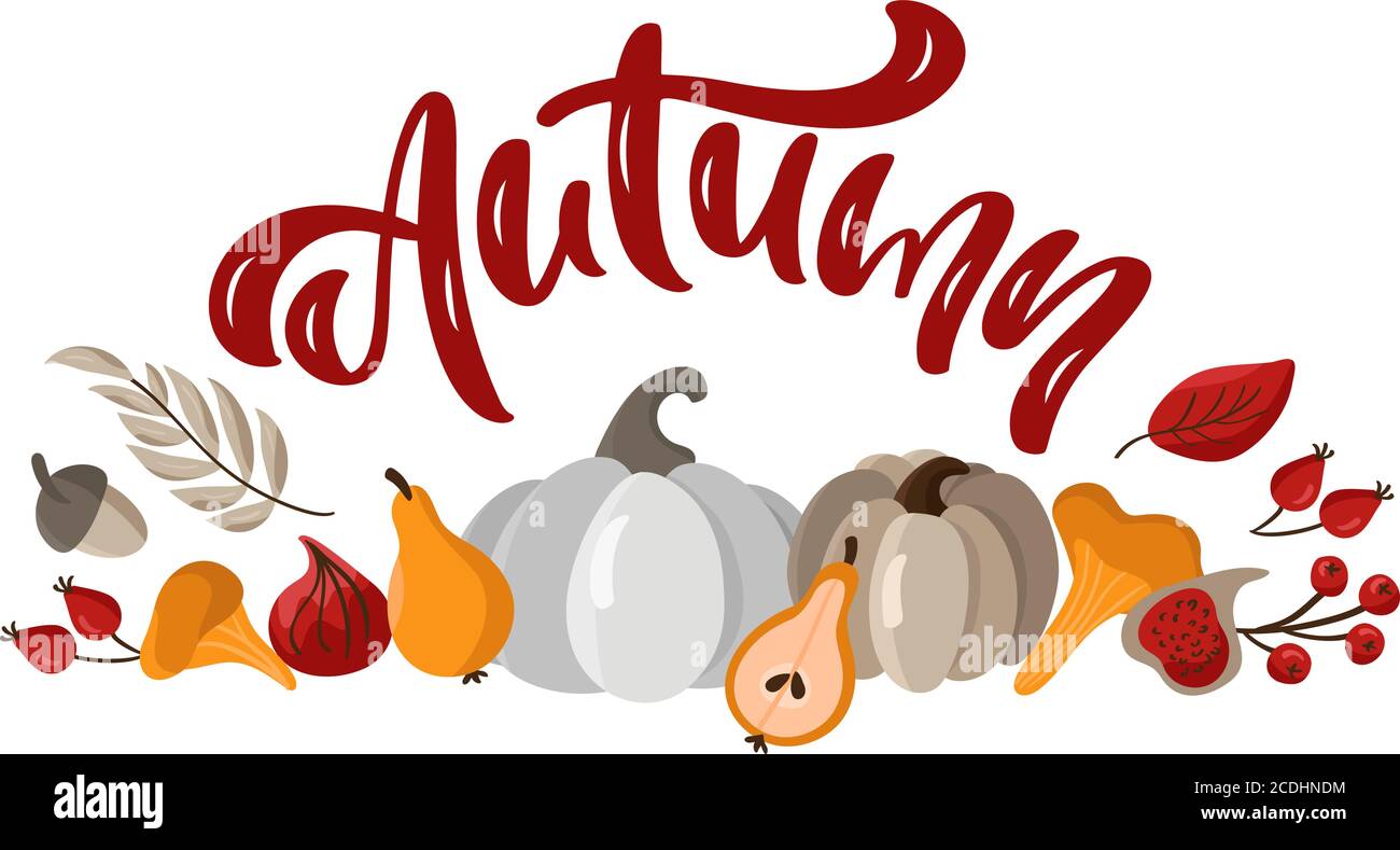 Cartoon autumn leaves hi-res stock photography and images - Alamy