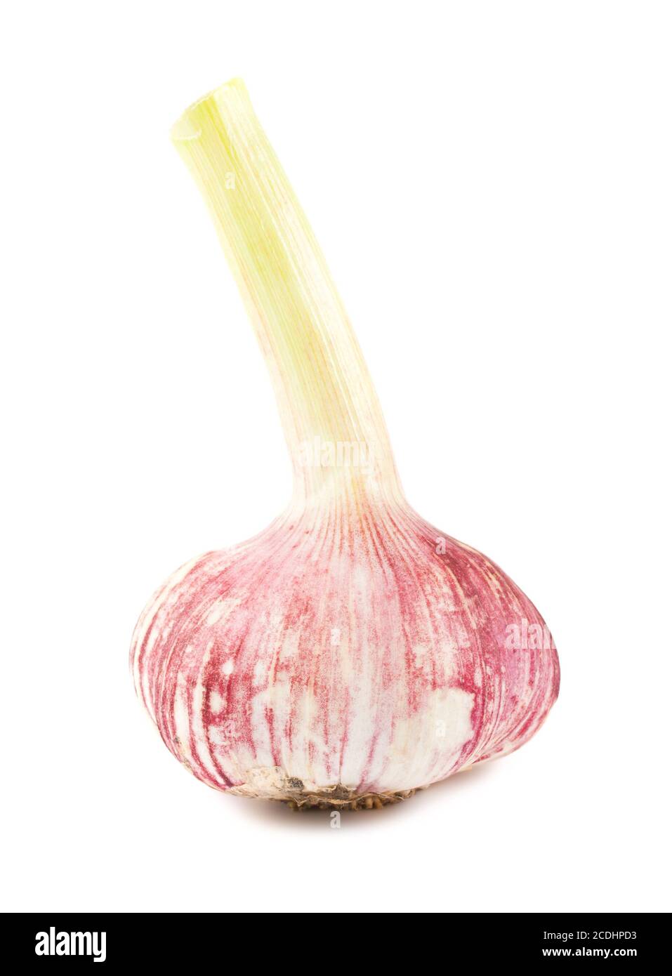 Fresh young garlic Cut Out Stock Images & Pictures - Alamy