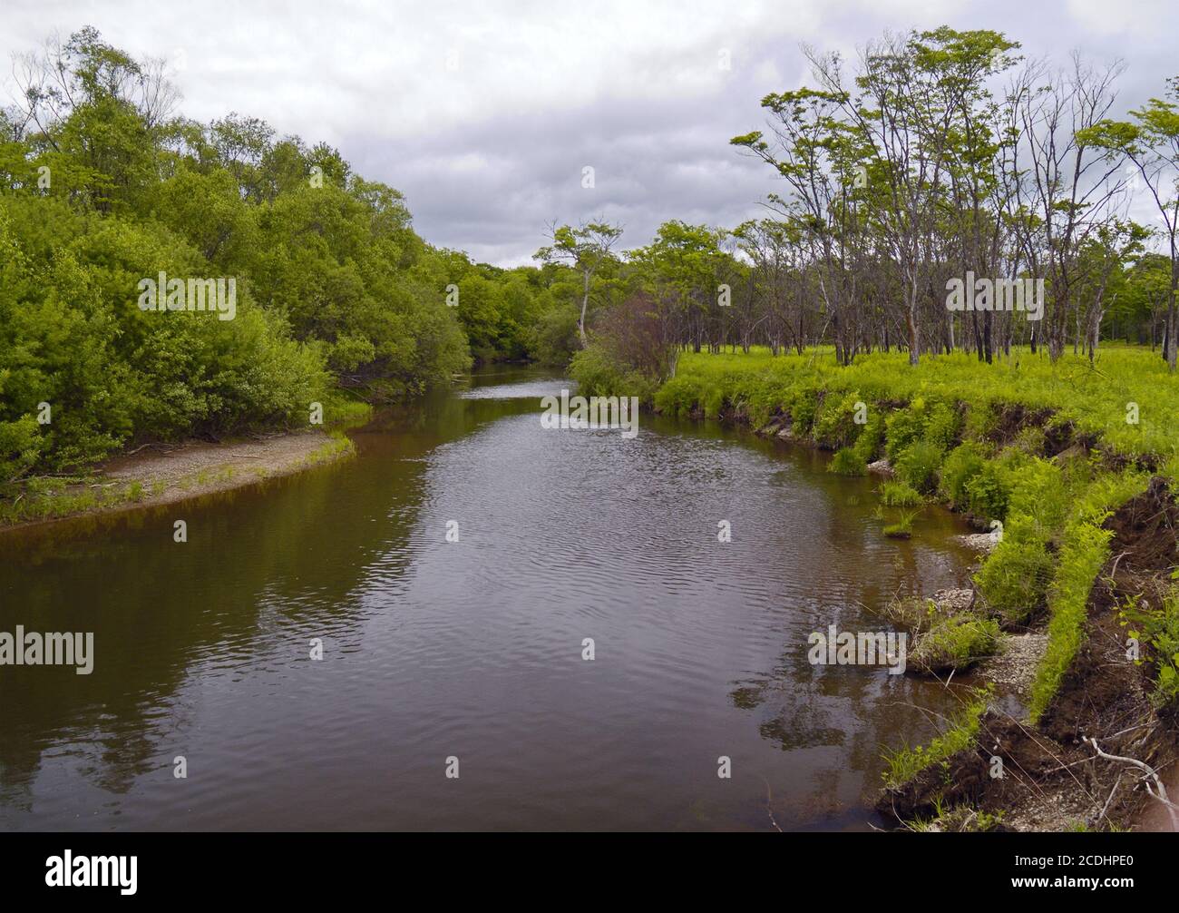 Timber river russia hi-res stock photography and images - Alamy