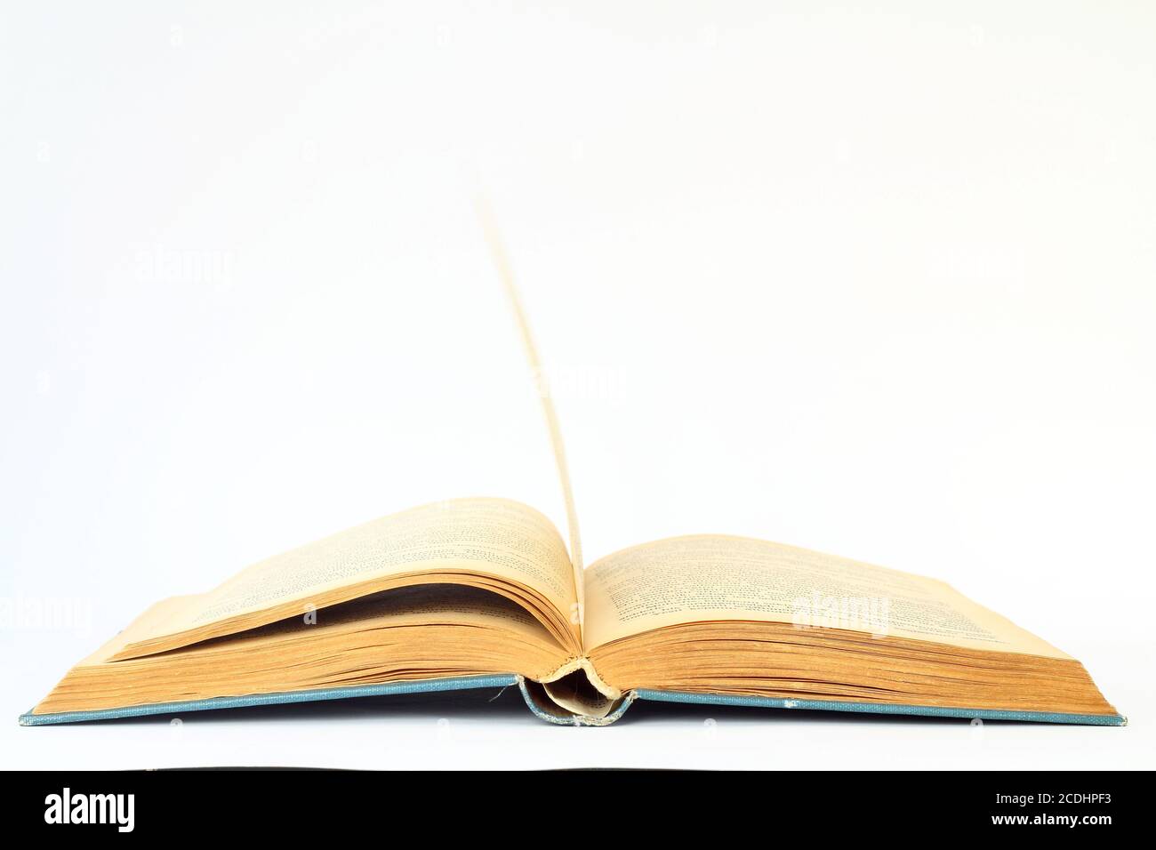 White opened book with blank pages Stock Photo - Alamy
