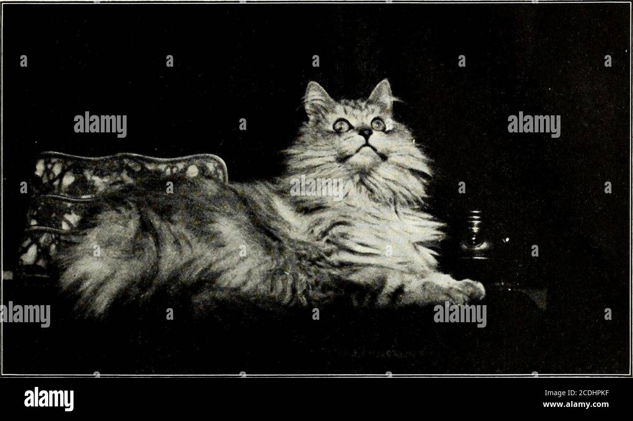 Lydia perkins hi-res stock photography and images - Alamy