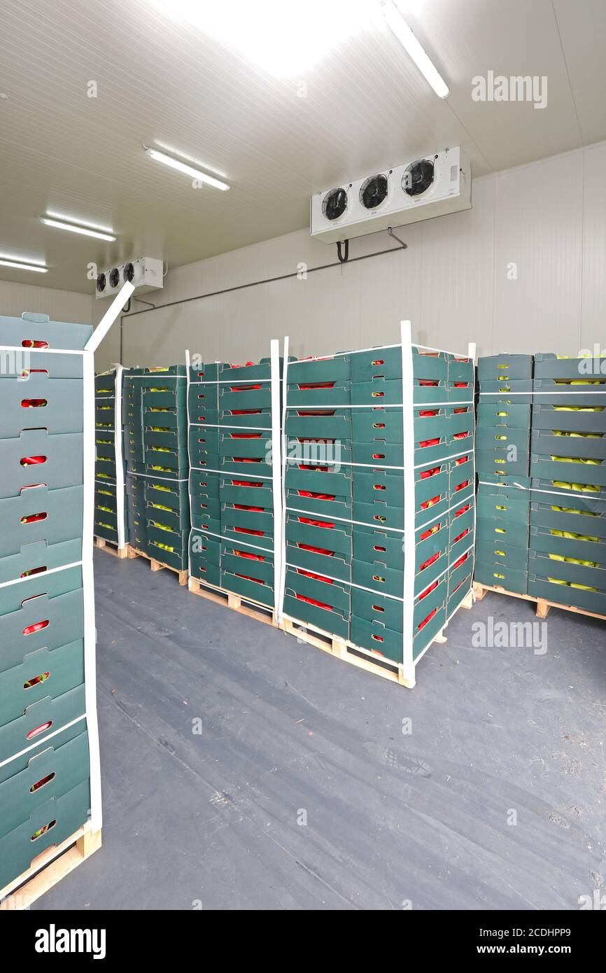 Fruits and Vegetables in Crates at Pallets Storage Warehouse Stock ...