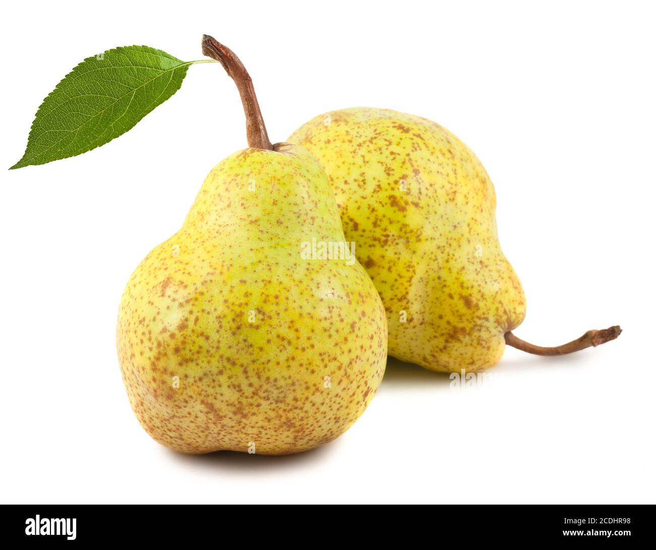 Two yellow pears leaf Cut Out Stock Images & Pictures - Alamy