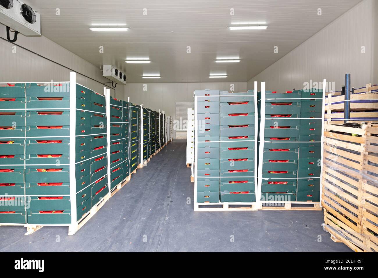 Vegetable cold storage hi-res stock photography and images - Alamy