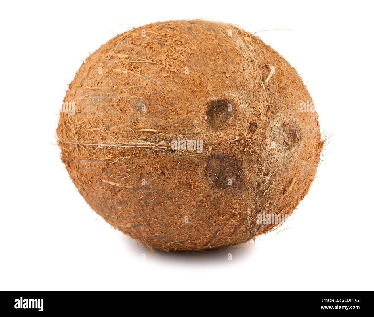 Coconut frame hi-res stock photography and images - Alamy