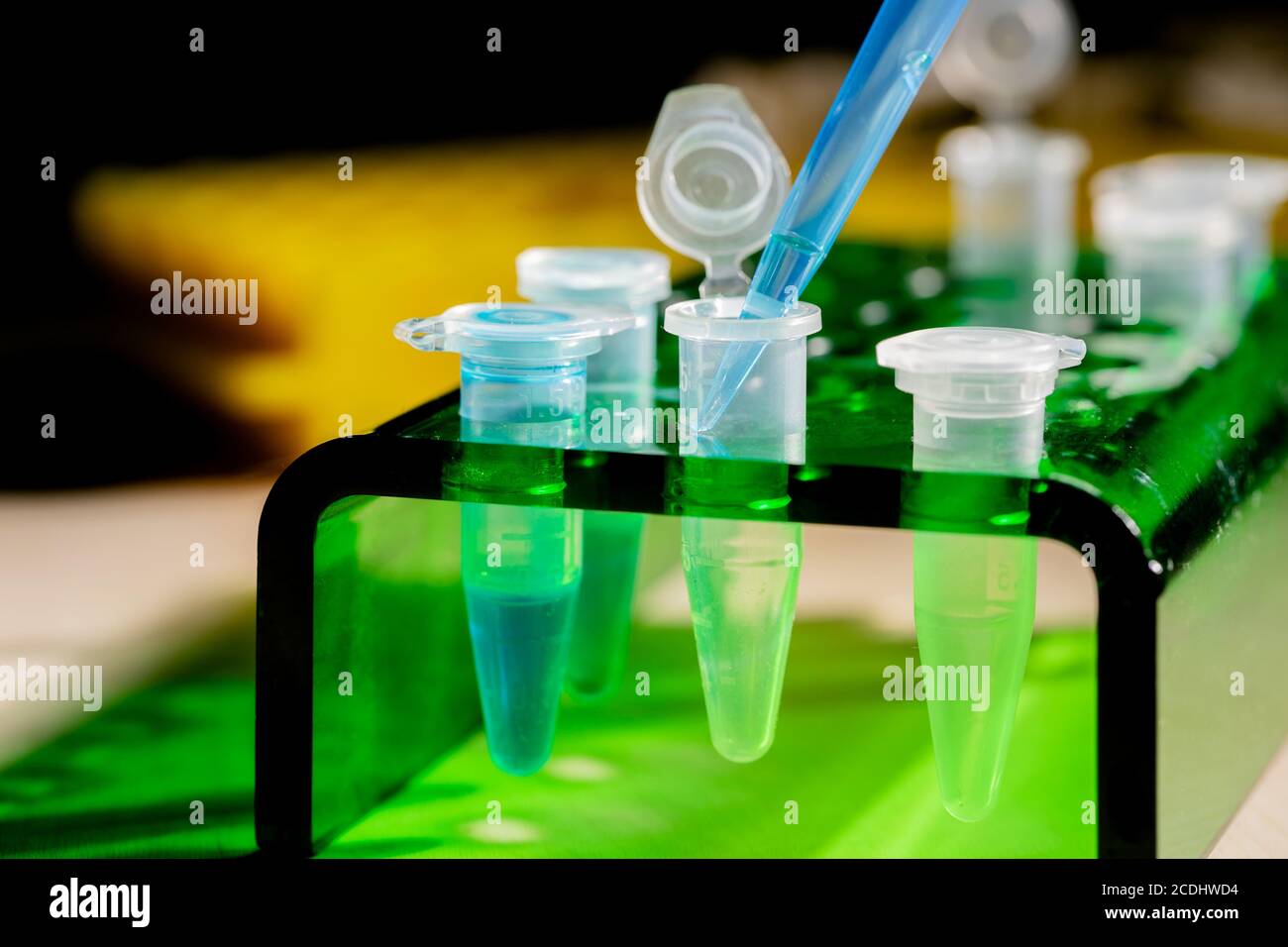 Scientist Pouring Liquid Into Test Tube Stock Photo - Alamy