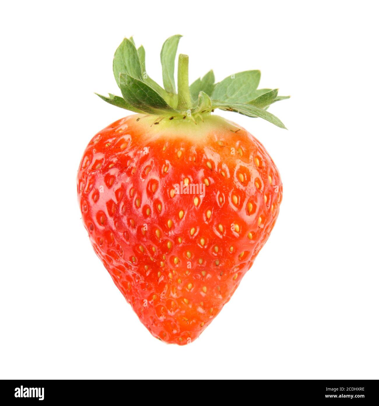 single fresh strawberry Stock Photo - Alamy