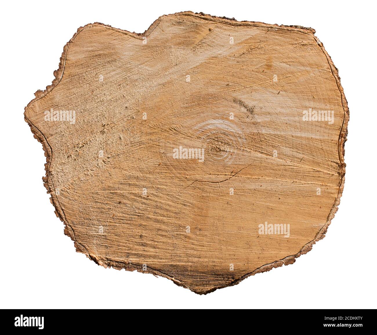 Cross section log white Cut Out Stock Images & Pictures - Alamy