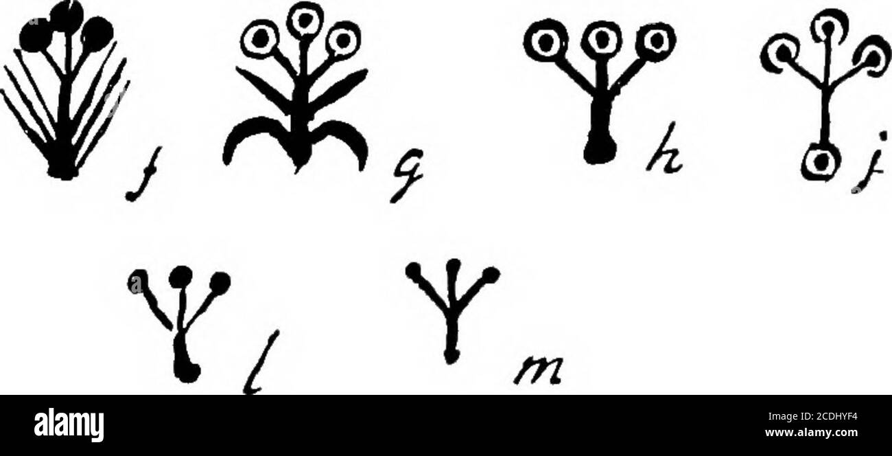 . The palace of Minos : a comparative account of the successive stages ...