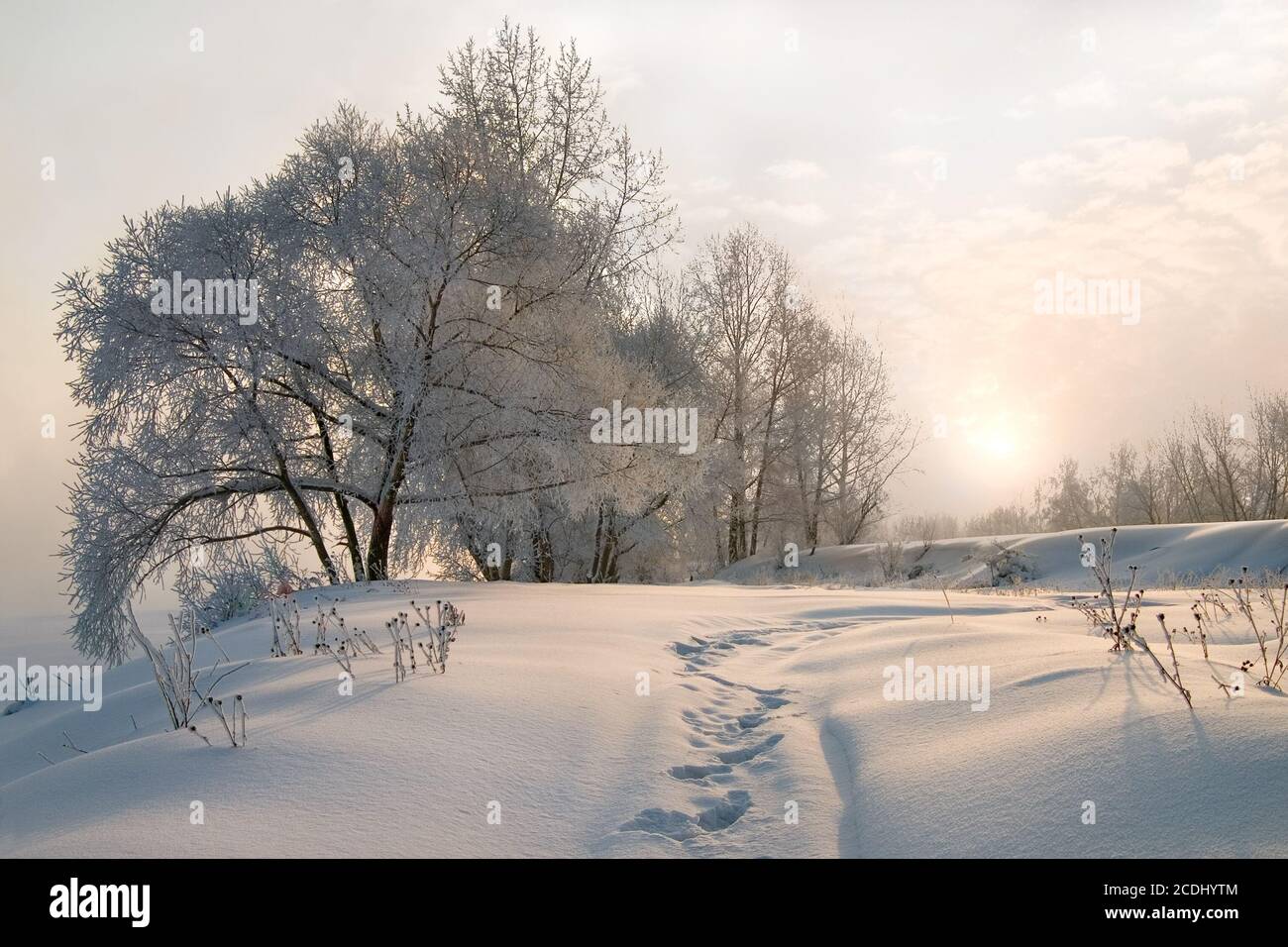 Morning winter view on hi-res stock photography and images - Alamy