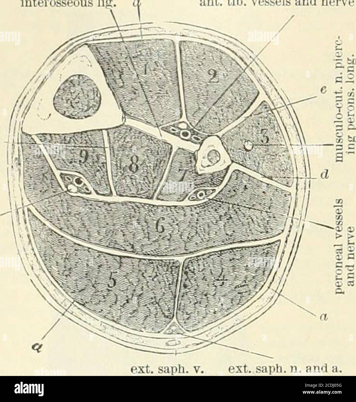Edgeon hi-res stock photography and images - Alamy