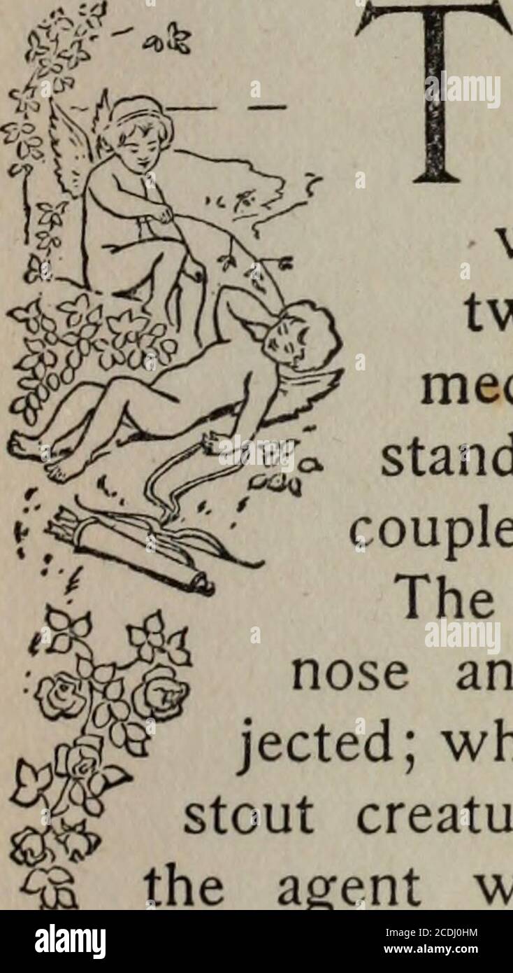 Short White Male Tv Comedian