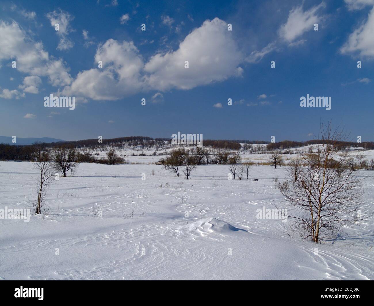 Edge of a meadow hi-res stock photography and images - Alamy