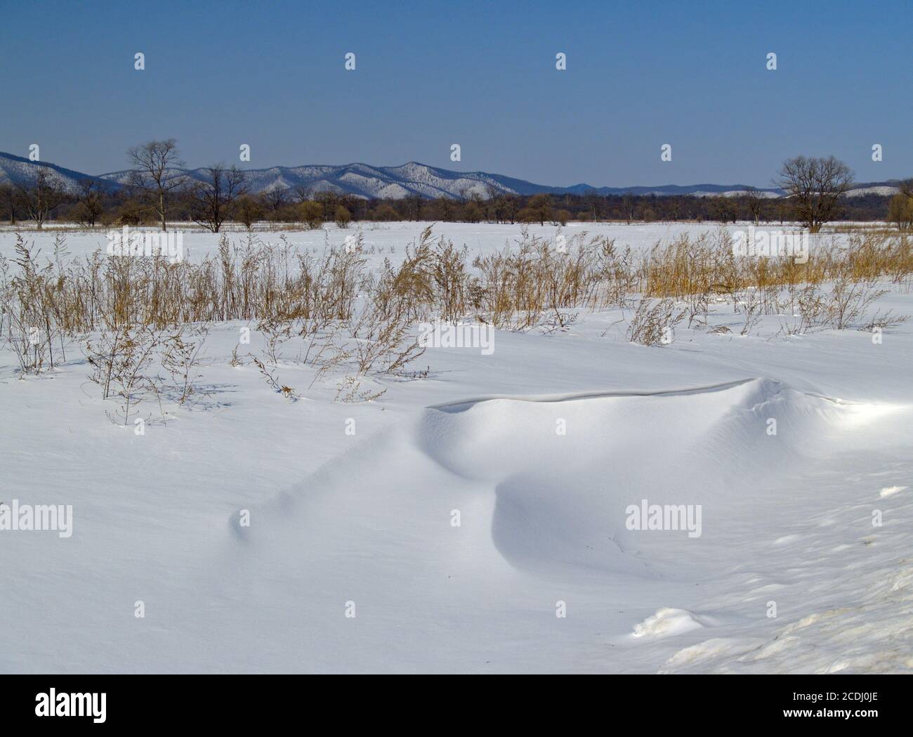 Edge of the meadow hi-res stock photography and images - Alamy