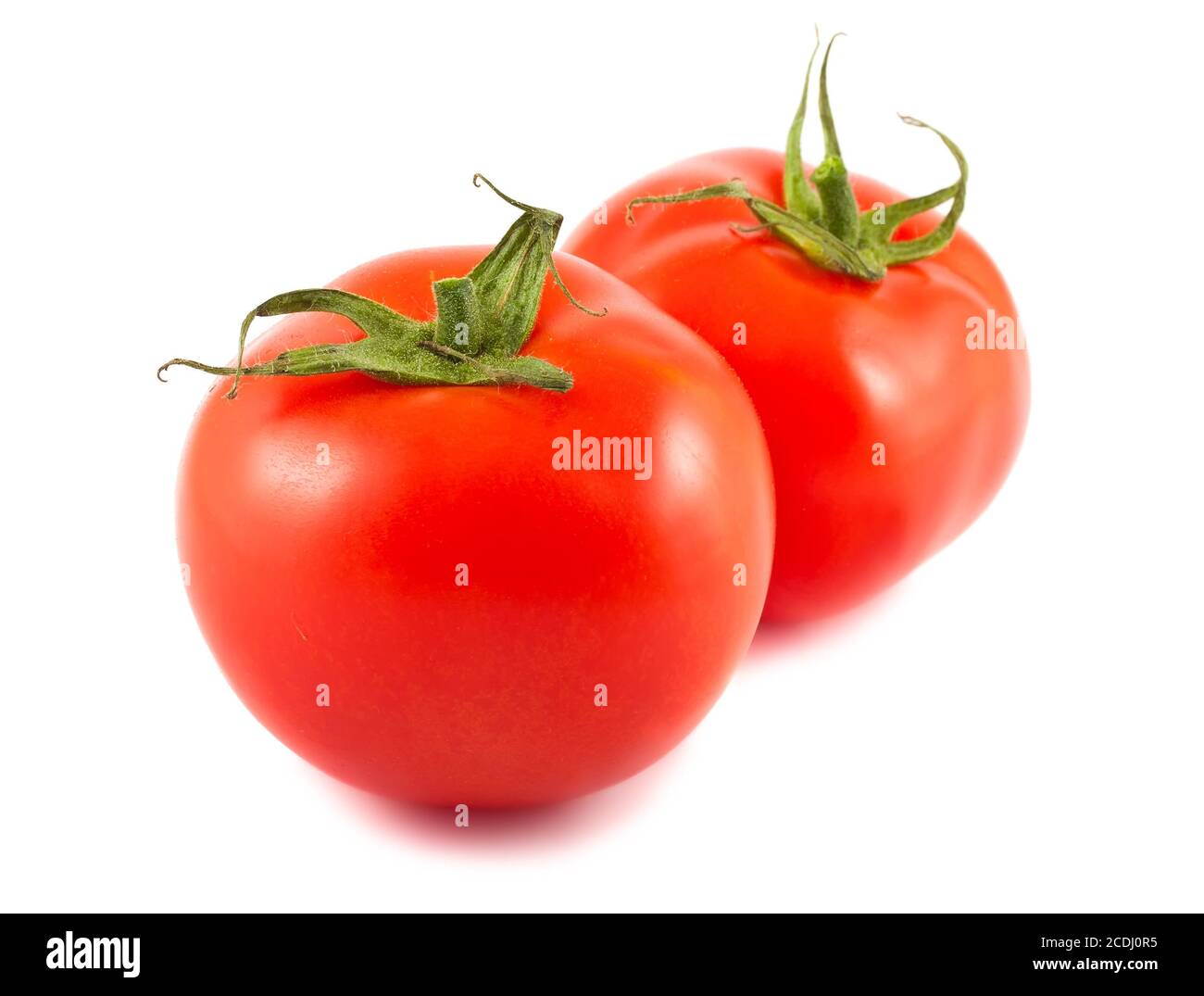 Summer tomato garden Cut Out Stock Images & Pictures - Alamy