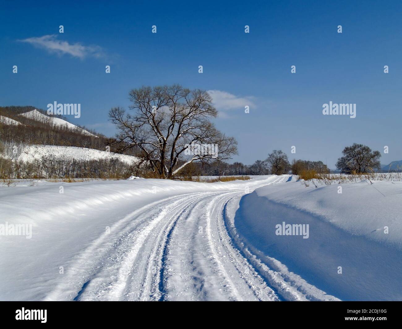 The Winter road Stock Photo - Alamy