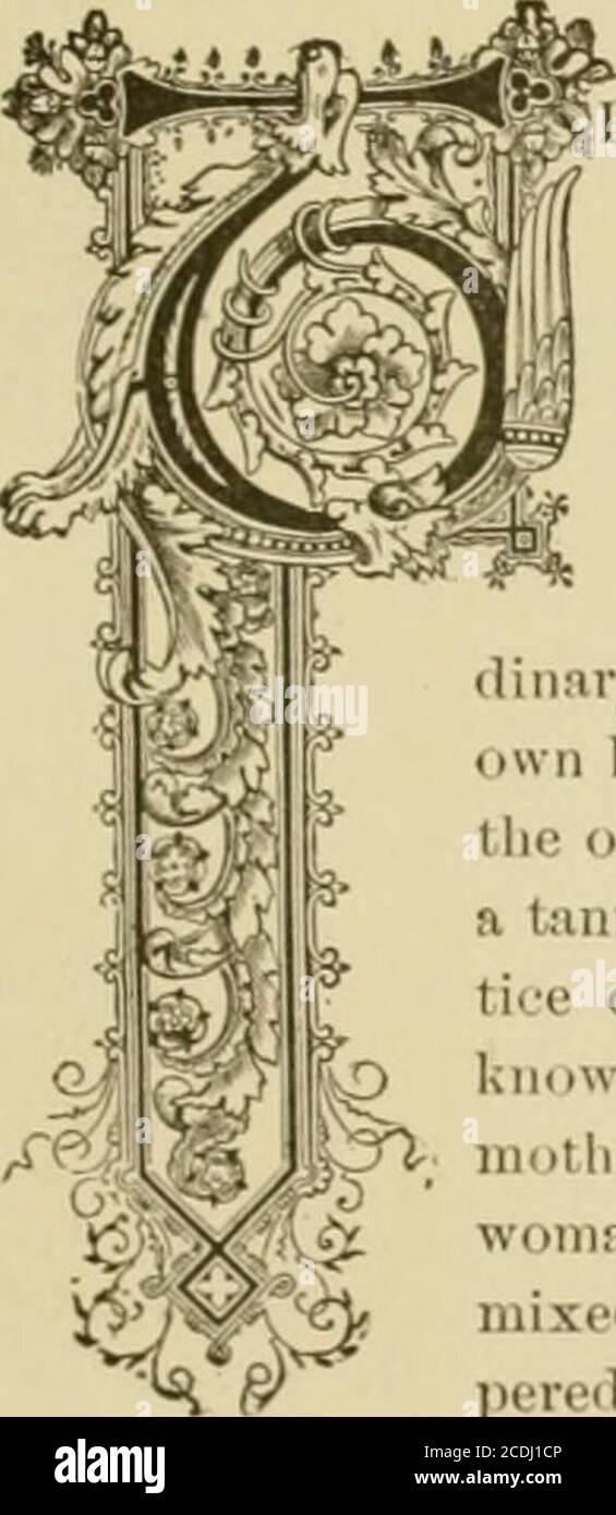 Sally fairchild hi-res stock photography and images - Alamy