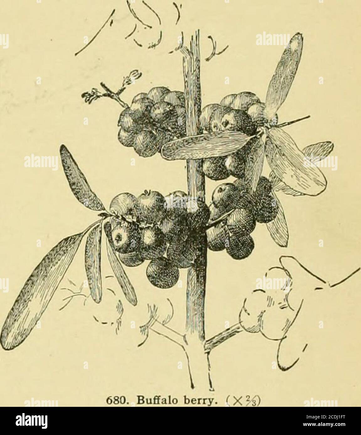 Macmil lan company hi-res stock photography and images - Alamy