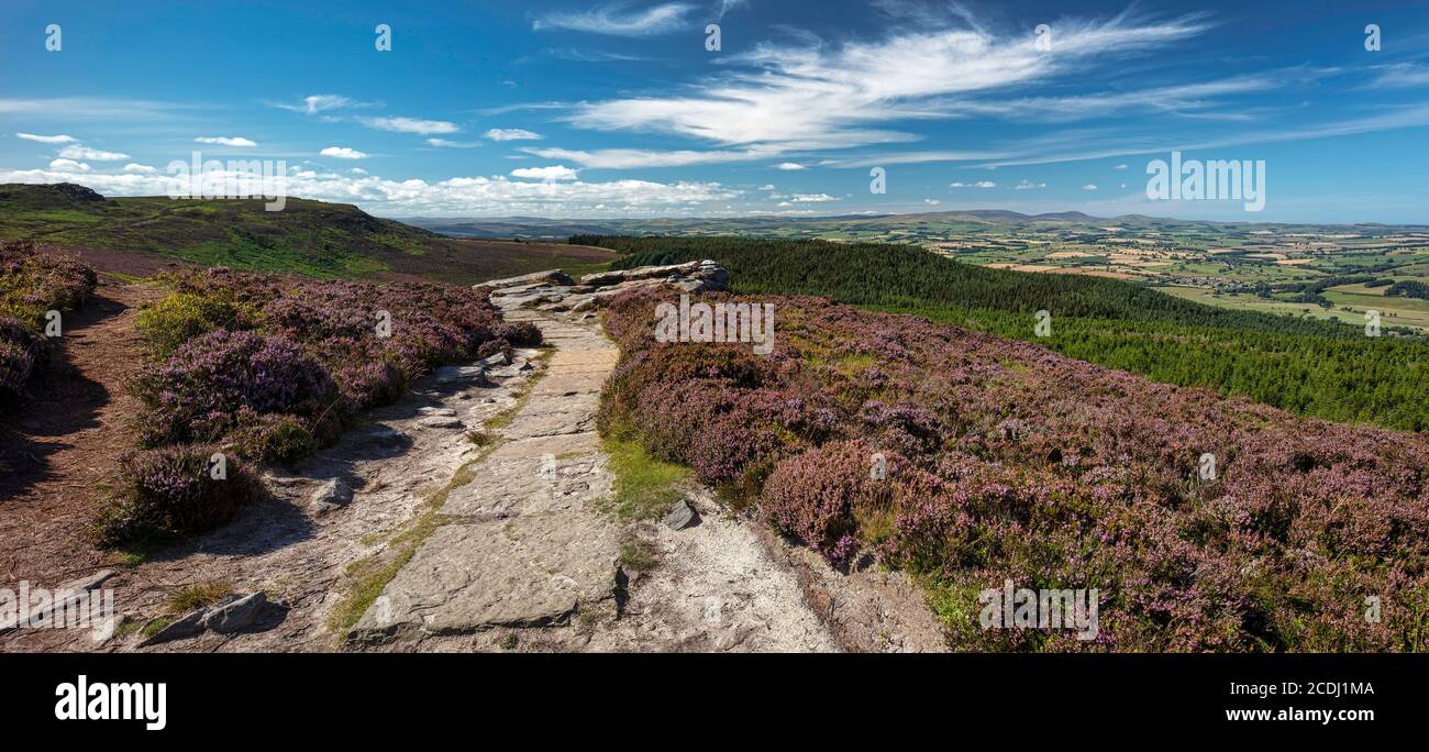 Summertime views across the Simonside Hills near Rothbury in ...