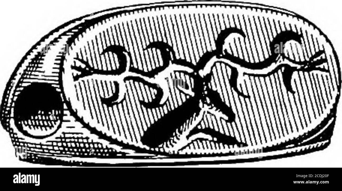 . The palace of Minos : a comparative account of the successive stages ...