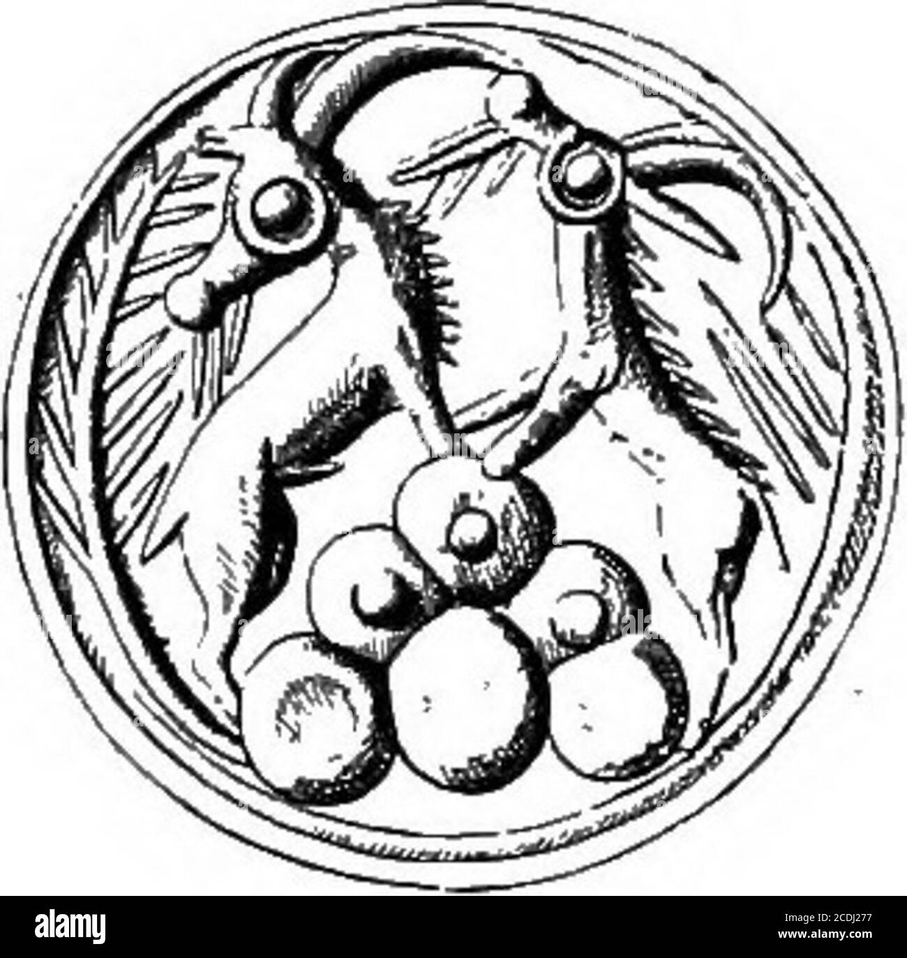 . The palace of Minos : a comparative account of the successive stages ...