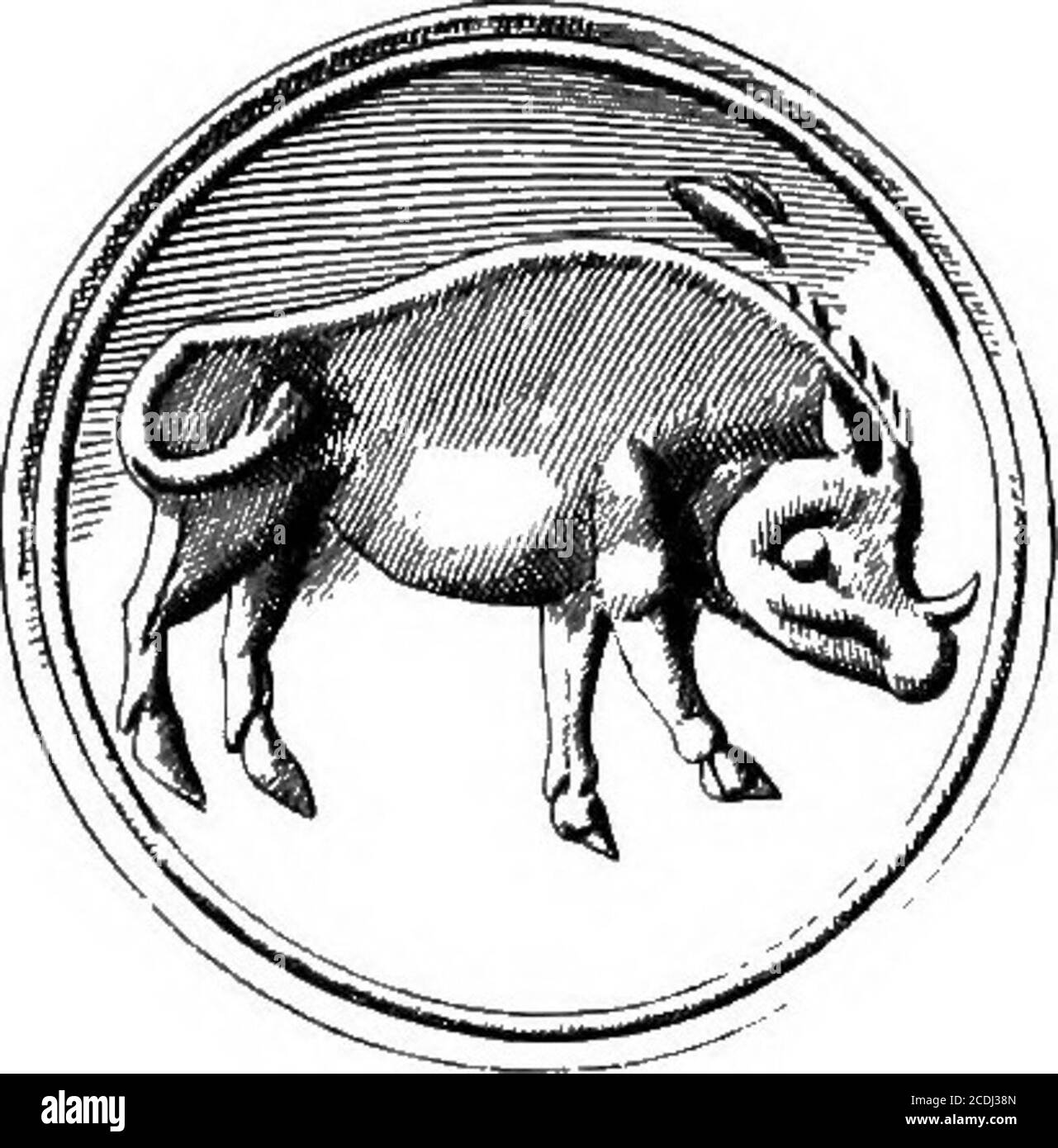 . The palace of Minos : a comparative account of the successive stages ...