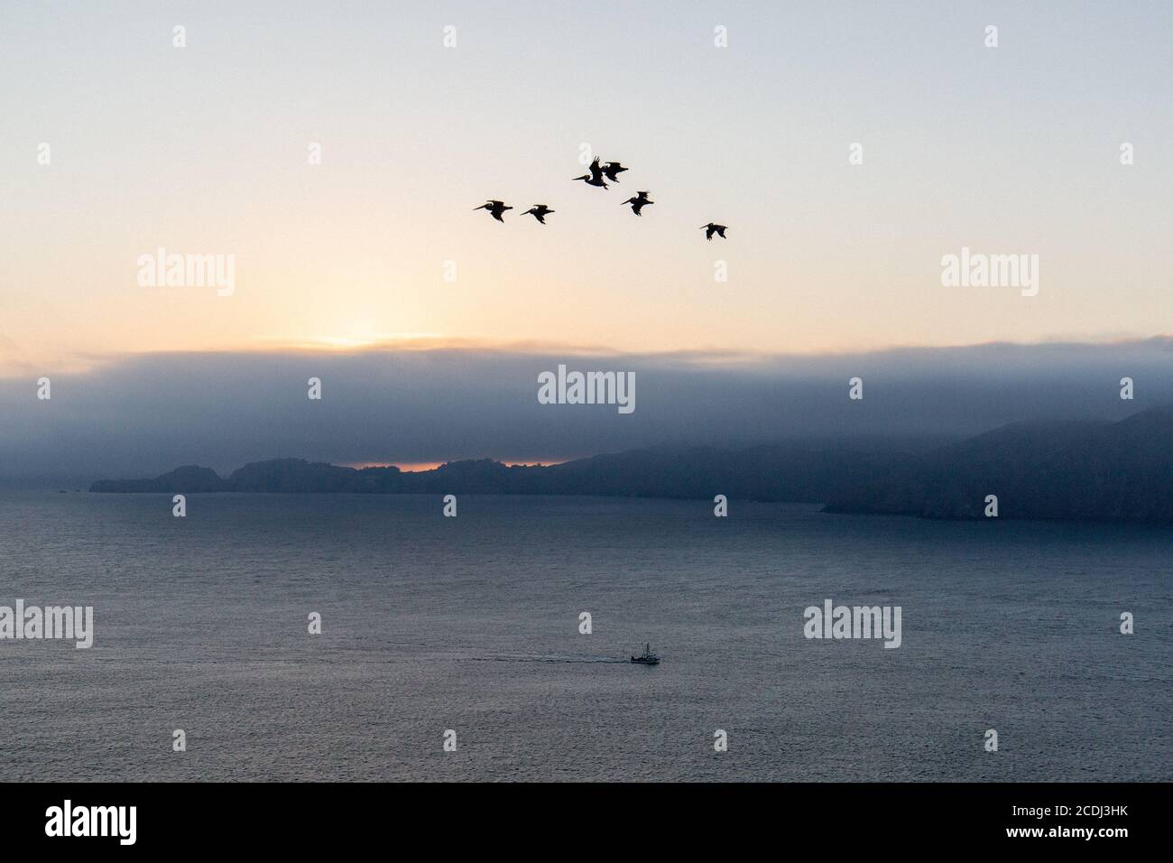 Birds flying over atmospheric hi-res stock photography and images - Alamy