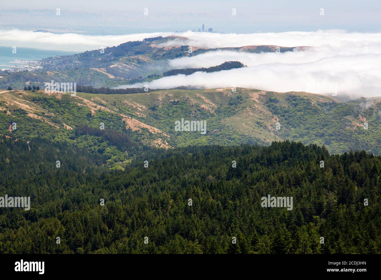 Midday sun and fog hi-res stock photography and images - Alamy